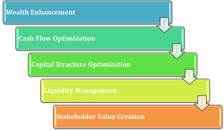 Strategic Financial Management: Functions, Planning & Analysis ...