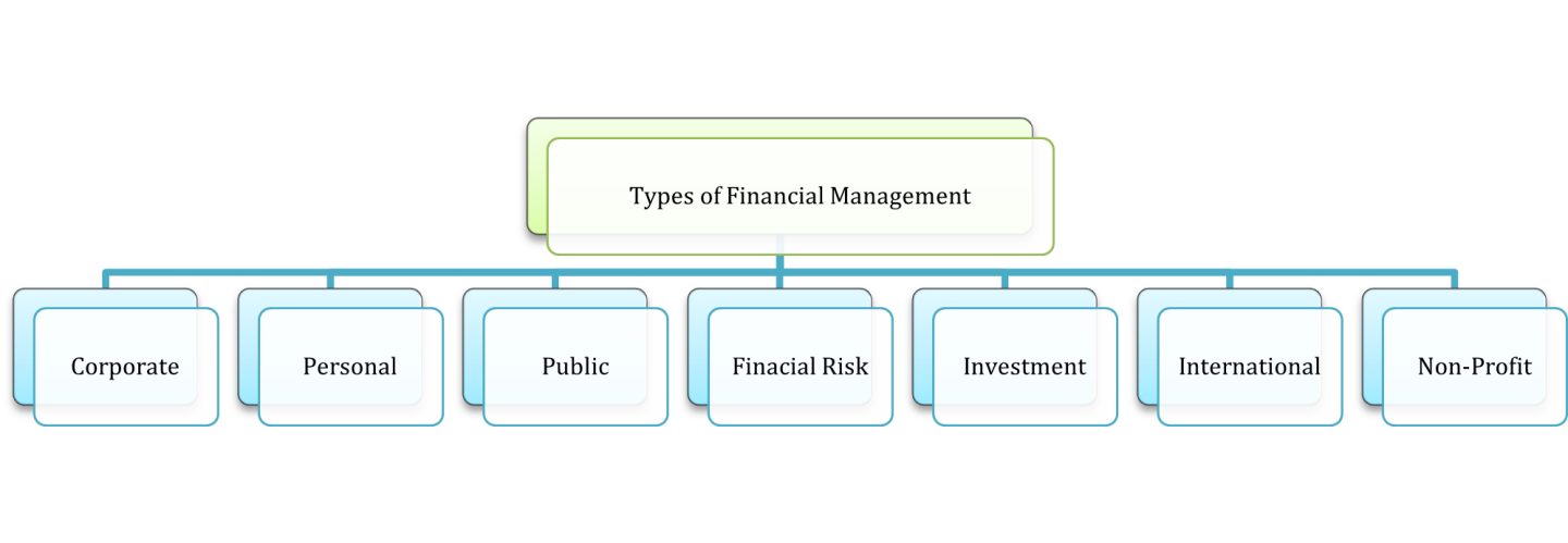 Strategic Financial Management: Functions, Planning & Analysis ...