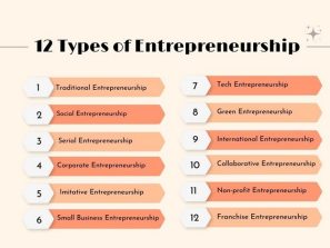 12 Types of Entrepreneurship with Example | Amazon Business