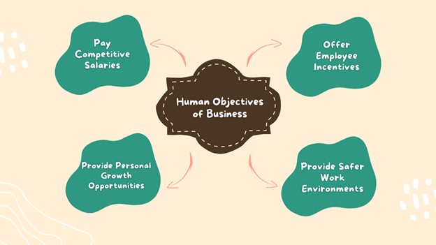 24+ Business Objectives: Economic, Social, National & more